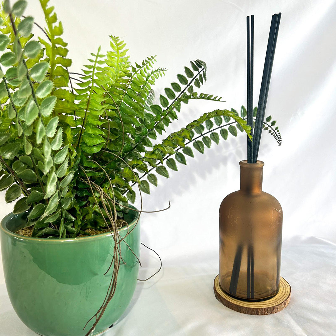 Extra Large 500ml Reed Diffusers from Little Moments Melts